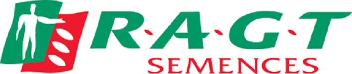 Купити семенной материал ragt semences від ТОВ "ЄвроМашАгро"